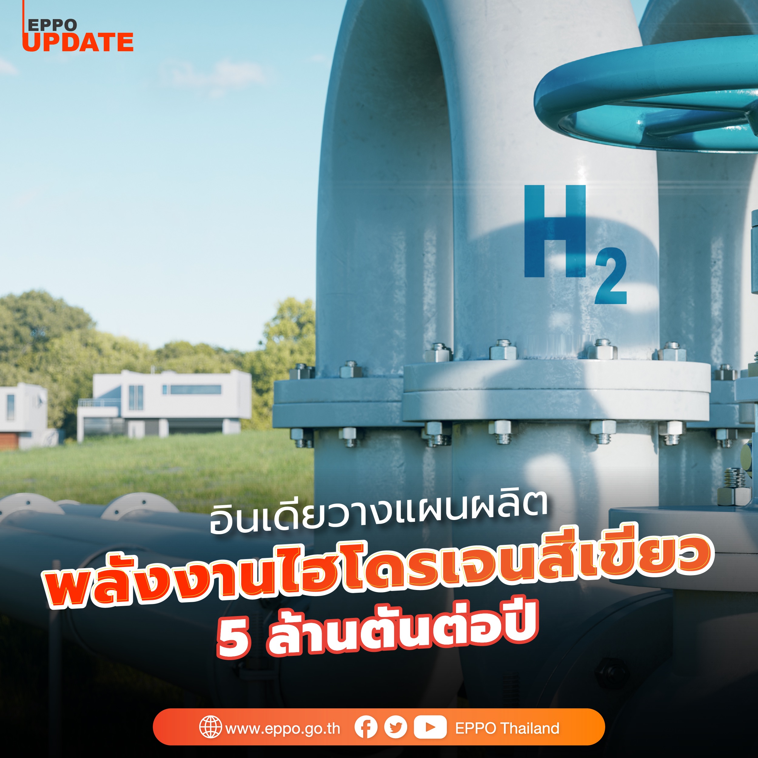 EPPO Thailand (@EppoThailand) / Twitter