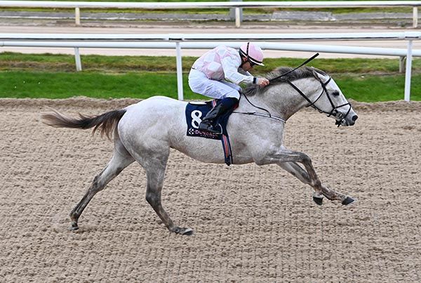 Sponsorship - Dundalk Stadium