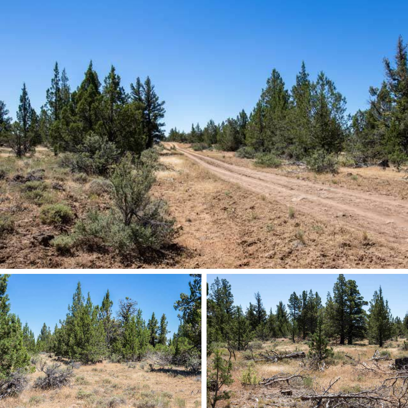 Cheap Land for Sale (@BillyLand) / Posts / X