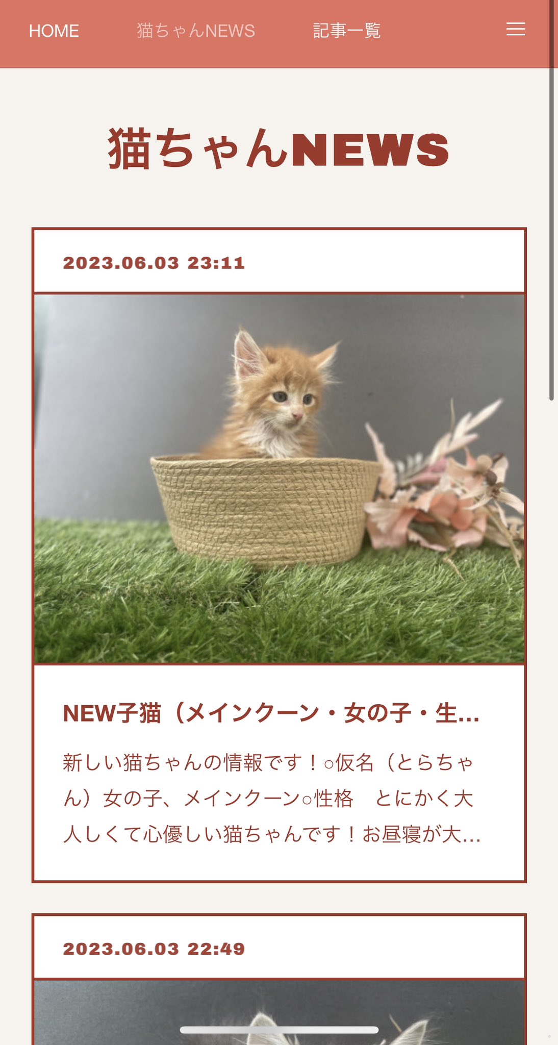 猫田家🐈(ペットブリーダー) (@neko_dake_) / Twitter