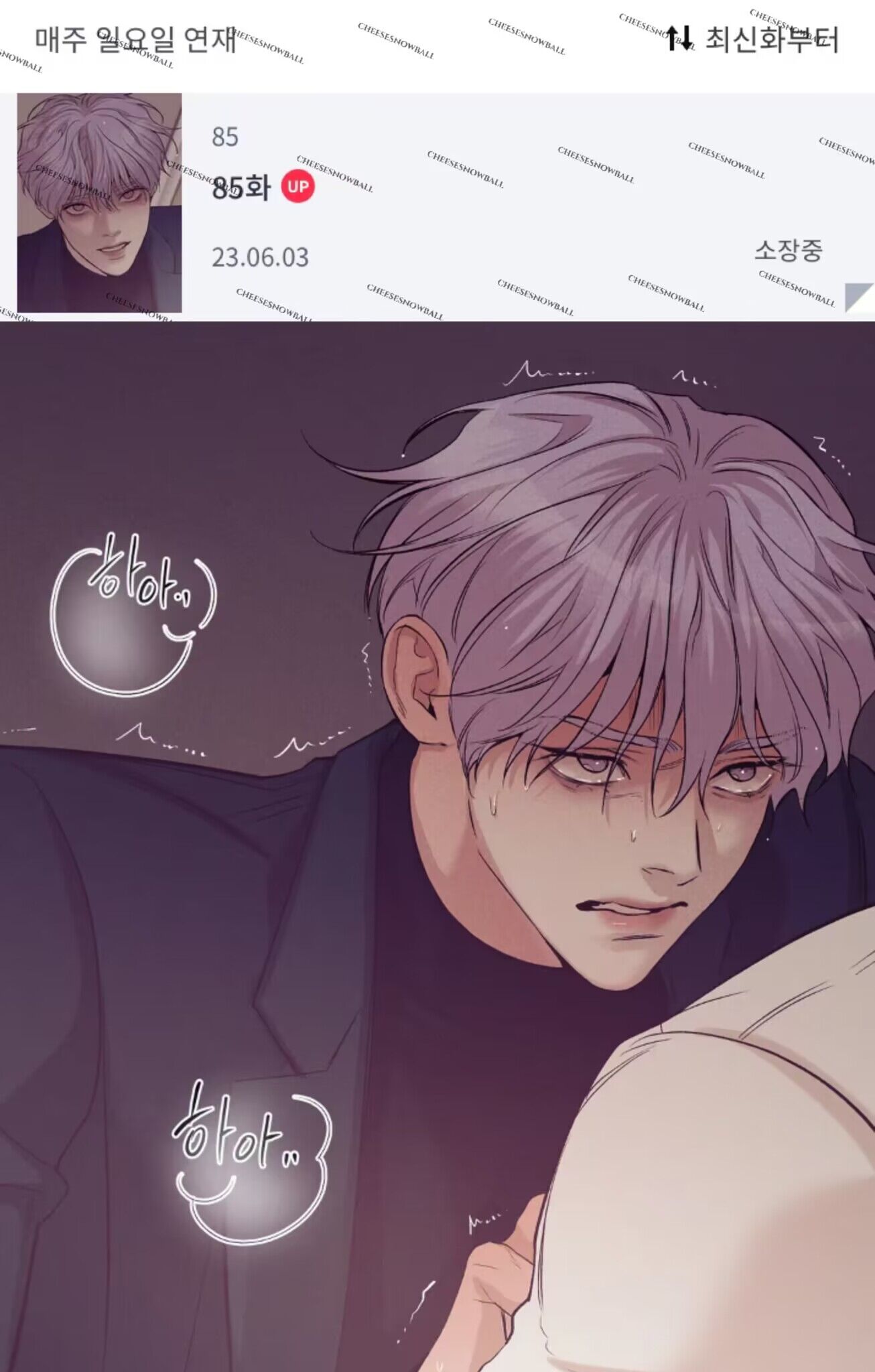 雪球 (@Cheese_Snowball) / Twitter