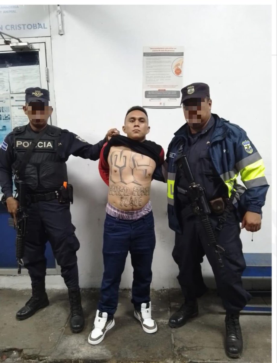 ITR Oficial on Twitter: "🚨CAPTURAN A PELIGROSO PANDILLERO SALVADOREÑO EN MÉXICO 📌Jaime Alexander ...