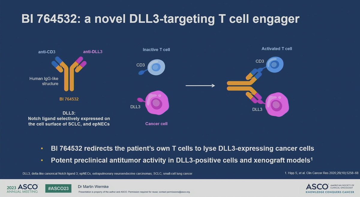 VIEW: Cancer Social Listening