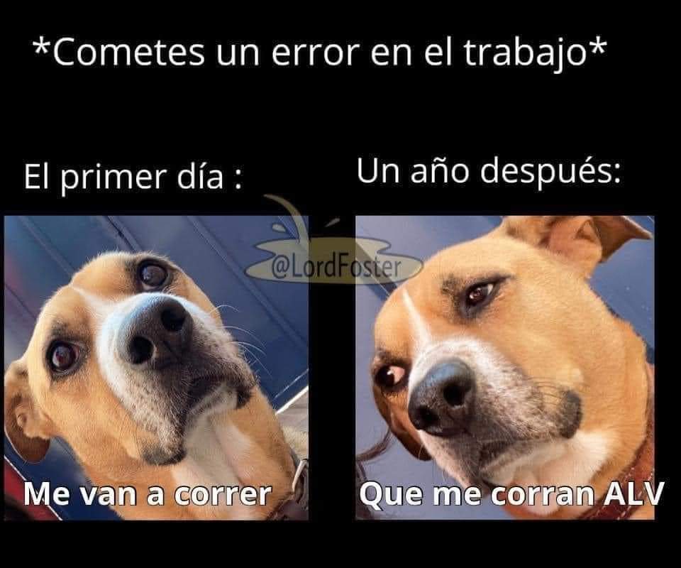 Meme De Correr How To Add Some Drama In Nazare Learning Surf