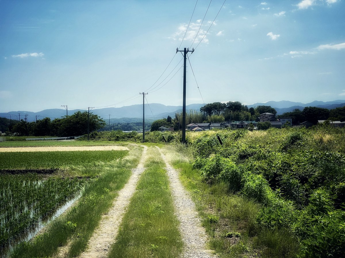 The Beanpod on Twitter: "Very warm, fairly long, extremely slow morning run."