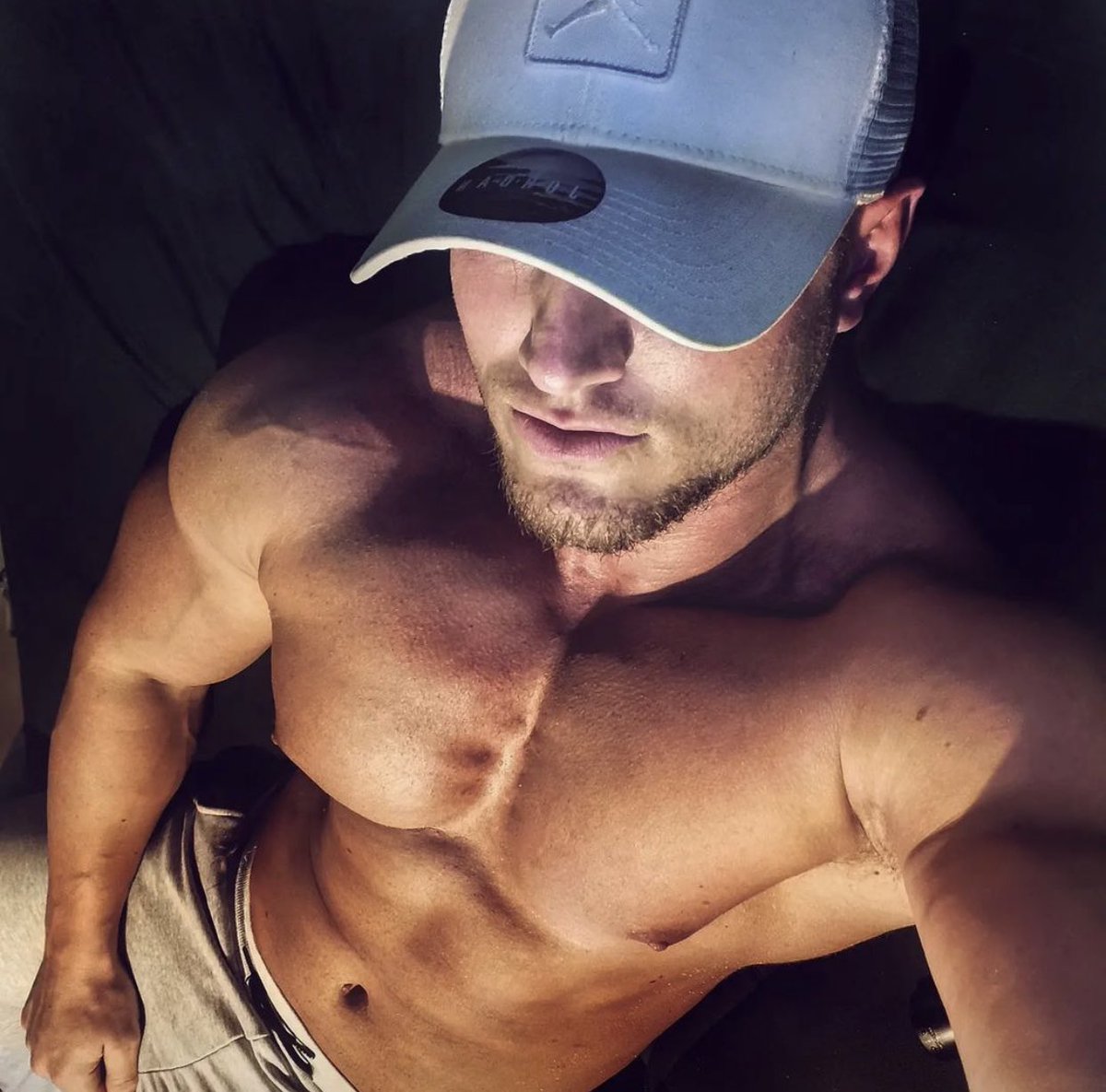 SILVERBACK on Twitter: "#Silverback"