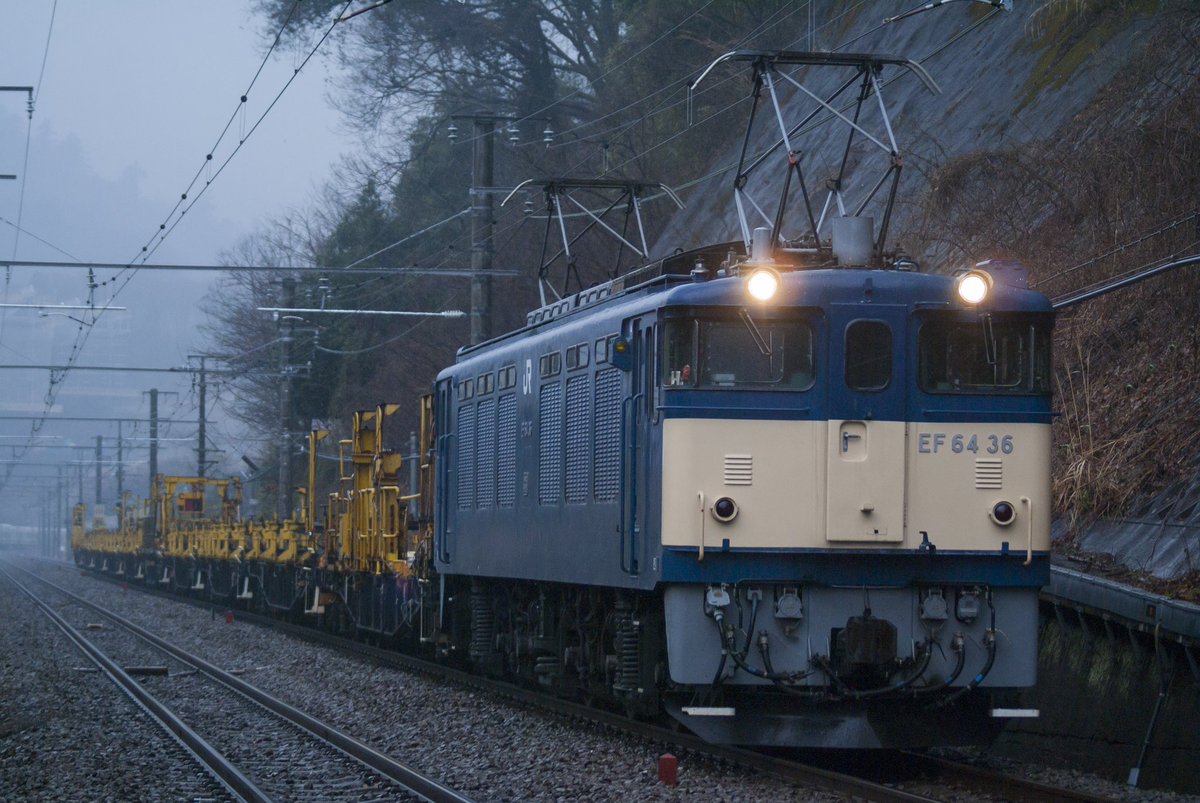 かためこいめすくなめ on Twitter: "ムサシノモデル EF64 36「高」入線！！ 予約して約1年半、64で1番好きな釜をムサシノで手に入れました😊 高崎4機の中では異端で最も早く ...