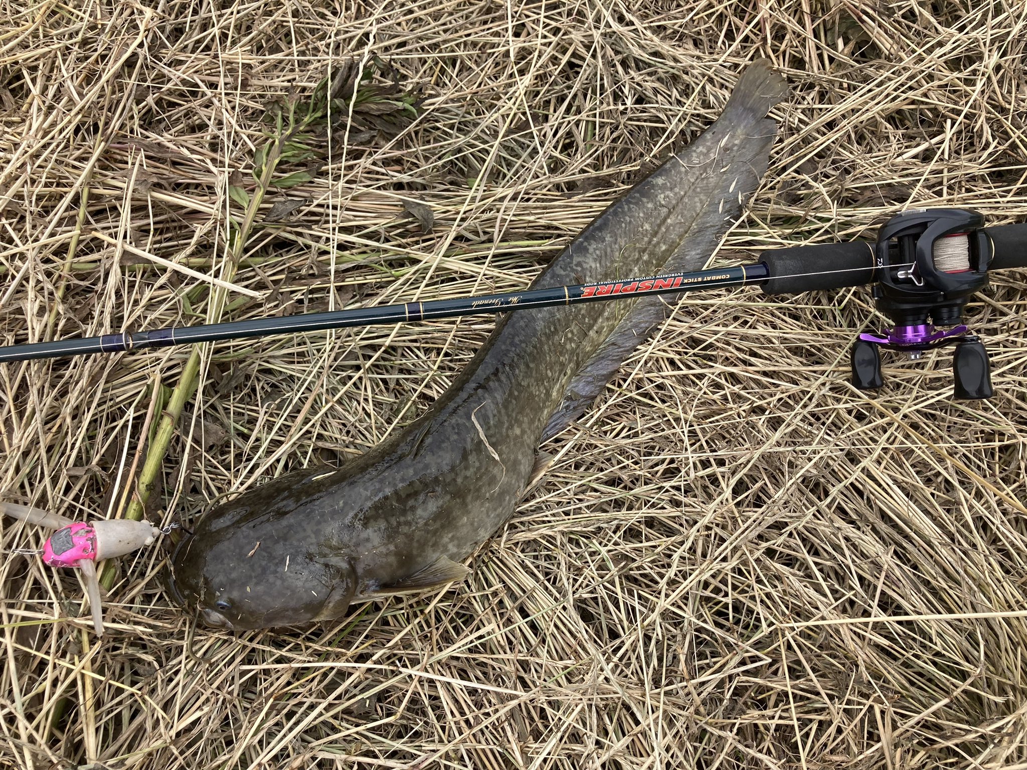 maayan on Twitter: "寿司で2バラシ😭 うーむ、思ったより浮力がすごい！ 重心の再調整が必要です。 気を取り直してニチニチでロクマル1キャッチ！ https://t.co ...