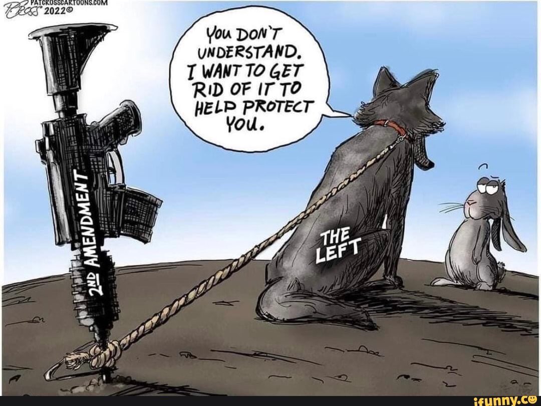 Amendment 25 Cartoons