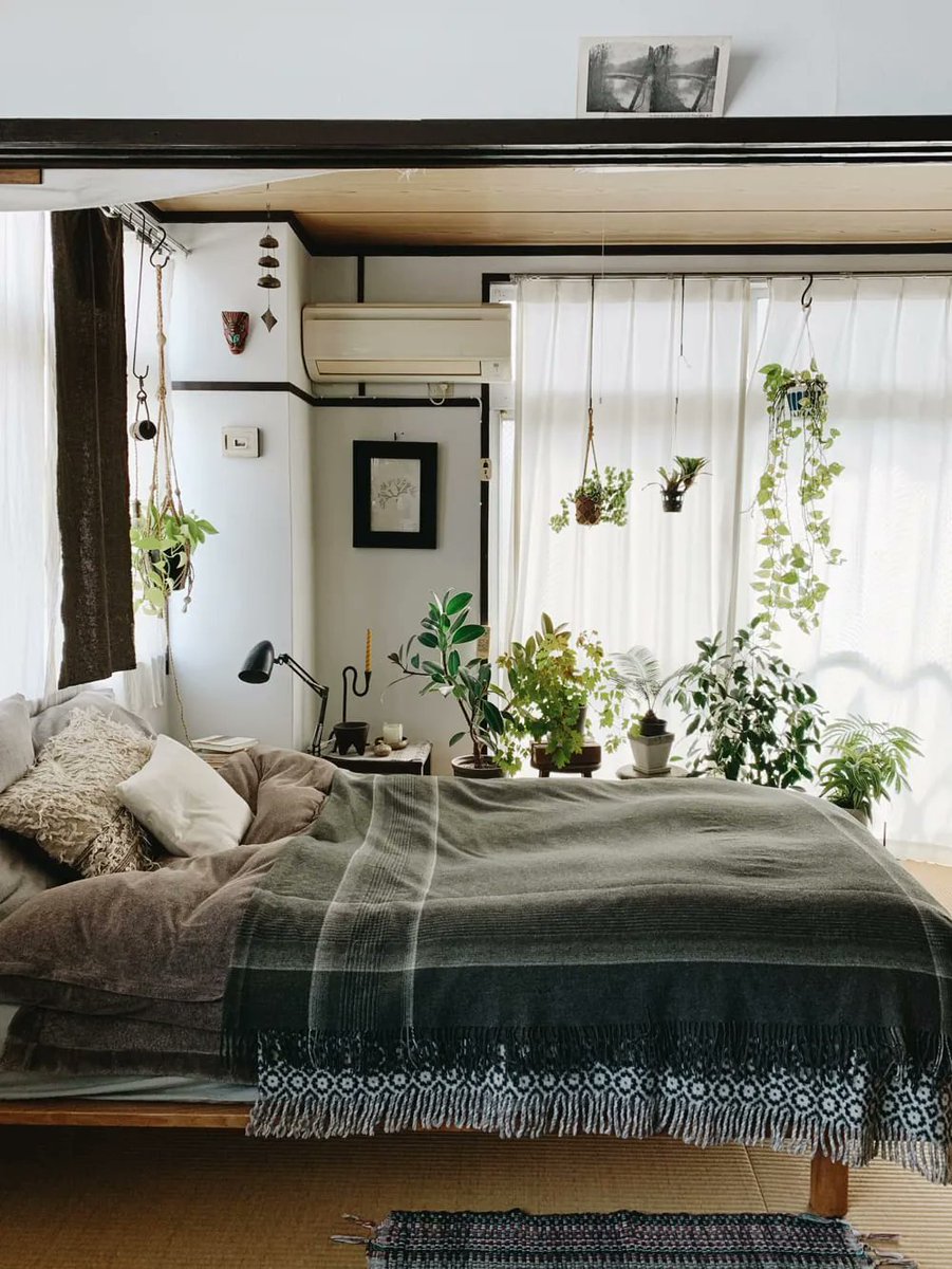 GINZA on Twitter: "【 #私と部屋 】 意匠を凝らしたワンルーム。素材と緑に包まれる生活 https://ginzamag.com/categories/lifestyle ...