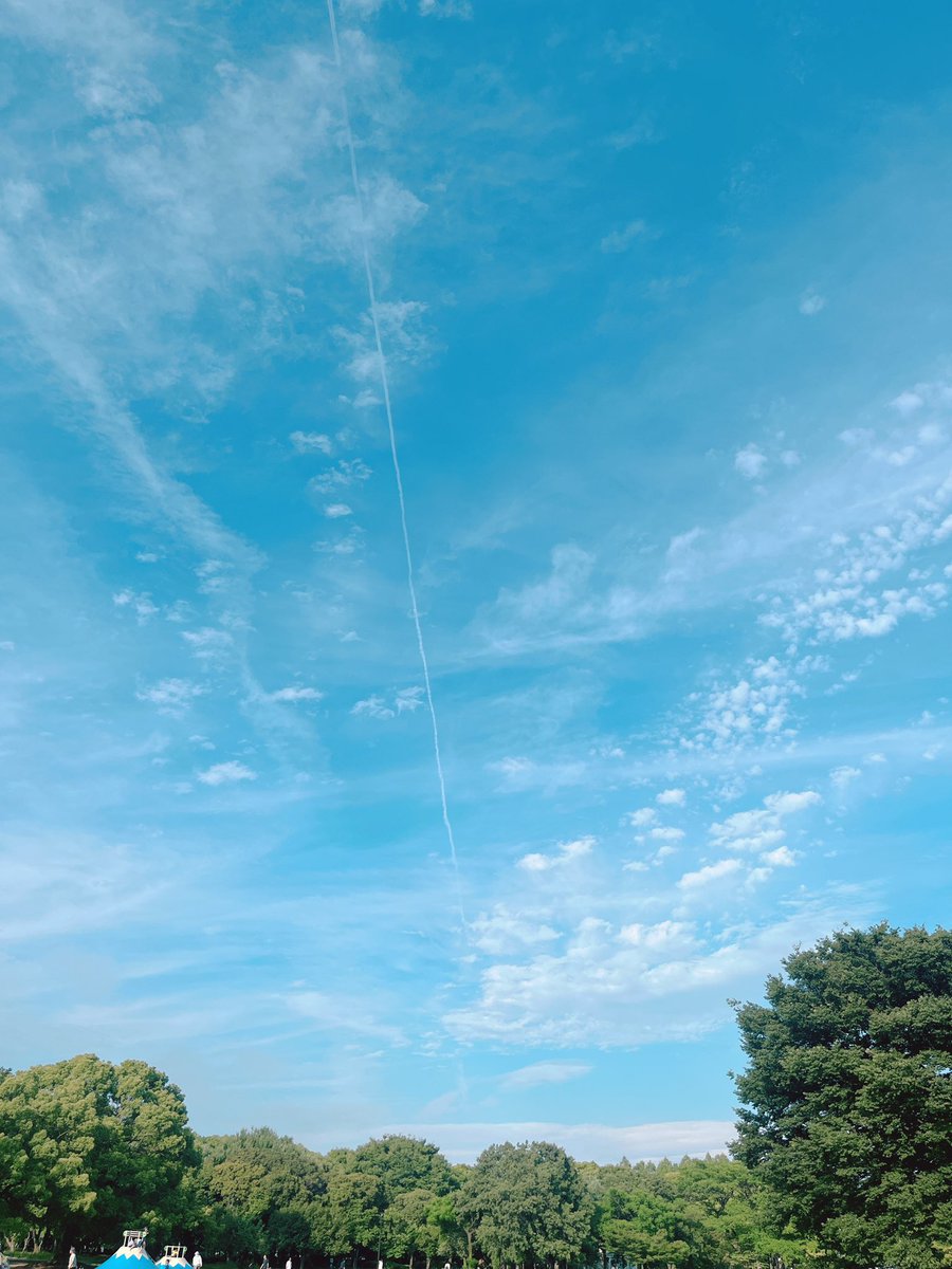 縁こまち On Twitter てくてくこまち🐰📷💭 夕方たくさん1人お散歩してきました。 帰りにおやつ買ったので、消費したカロリーはプラスになってしまうかもしれません。
