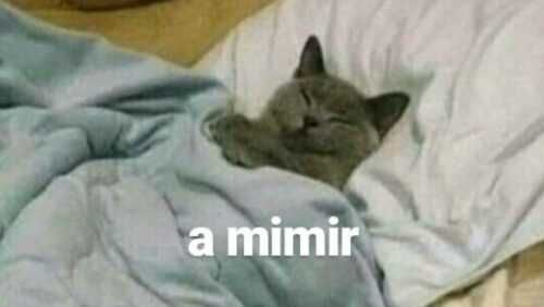 떼잉🤔 on Twitter: "RT @VirusAP: a mimir"