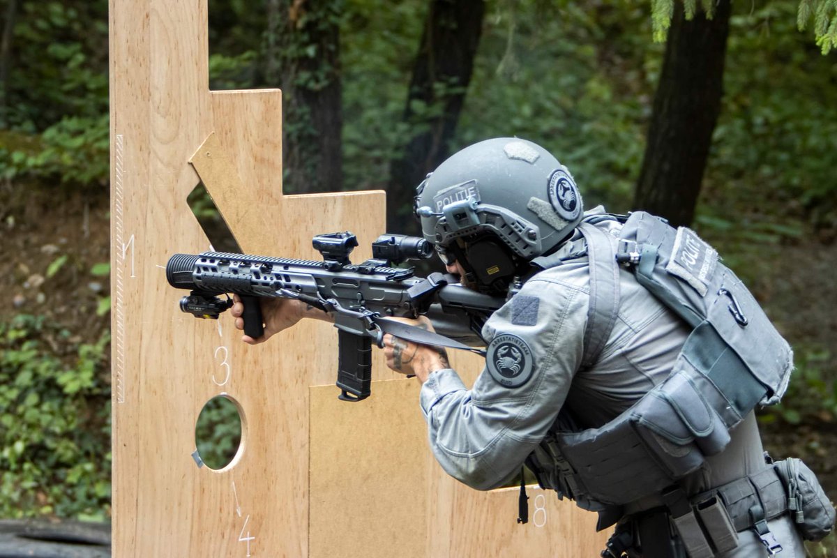 ぱらみり（大量発生型相変異パラオーグ) on Twitter: "RT @tacticalporn: 🇳🇱DSI 🧐300BLK SIG MCX suprimido: - Red dot ...