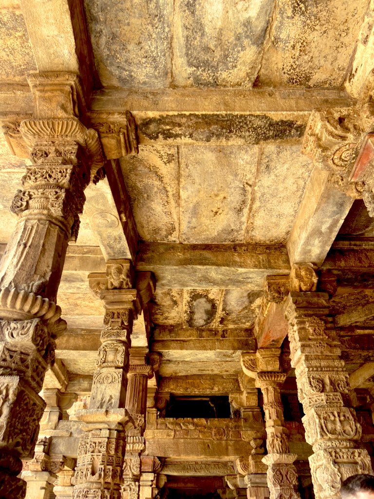 Jiya Sachdeva on Twitter: "I’m getting better at clicking pictures https://t.co/U8xeR9URg8 ...