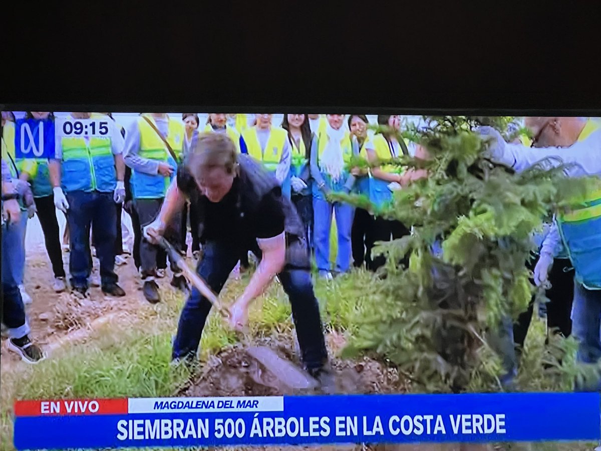 Lourdes Alcorta on Twitter: Lourdes Alcorta on Twitter: