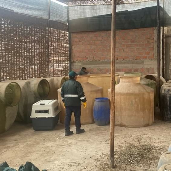 Serfor Perú on Twitter: Serfor Perú on Twitter: