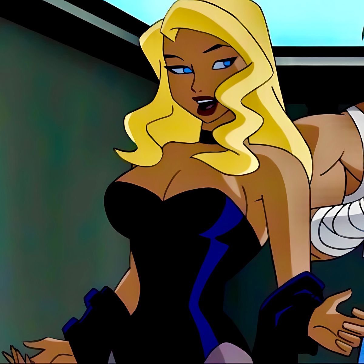 Waifu Tower on Twitter: "RT @waifu_waifus: Black Canary (Dinah Laurel Lance) Cartoon: Justice ...