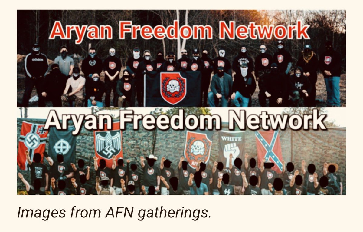 Laurie🪬 on Twitter: "This is the Aryan Freedom Network…Neo-Nazis, in which Marjorie Taylor ...
