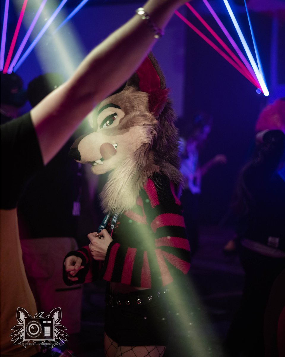 Give me your bones 🫴 on Twitter: "A few sneak peaks of my @cfconvention shots! We got: @/folf ...