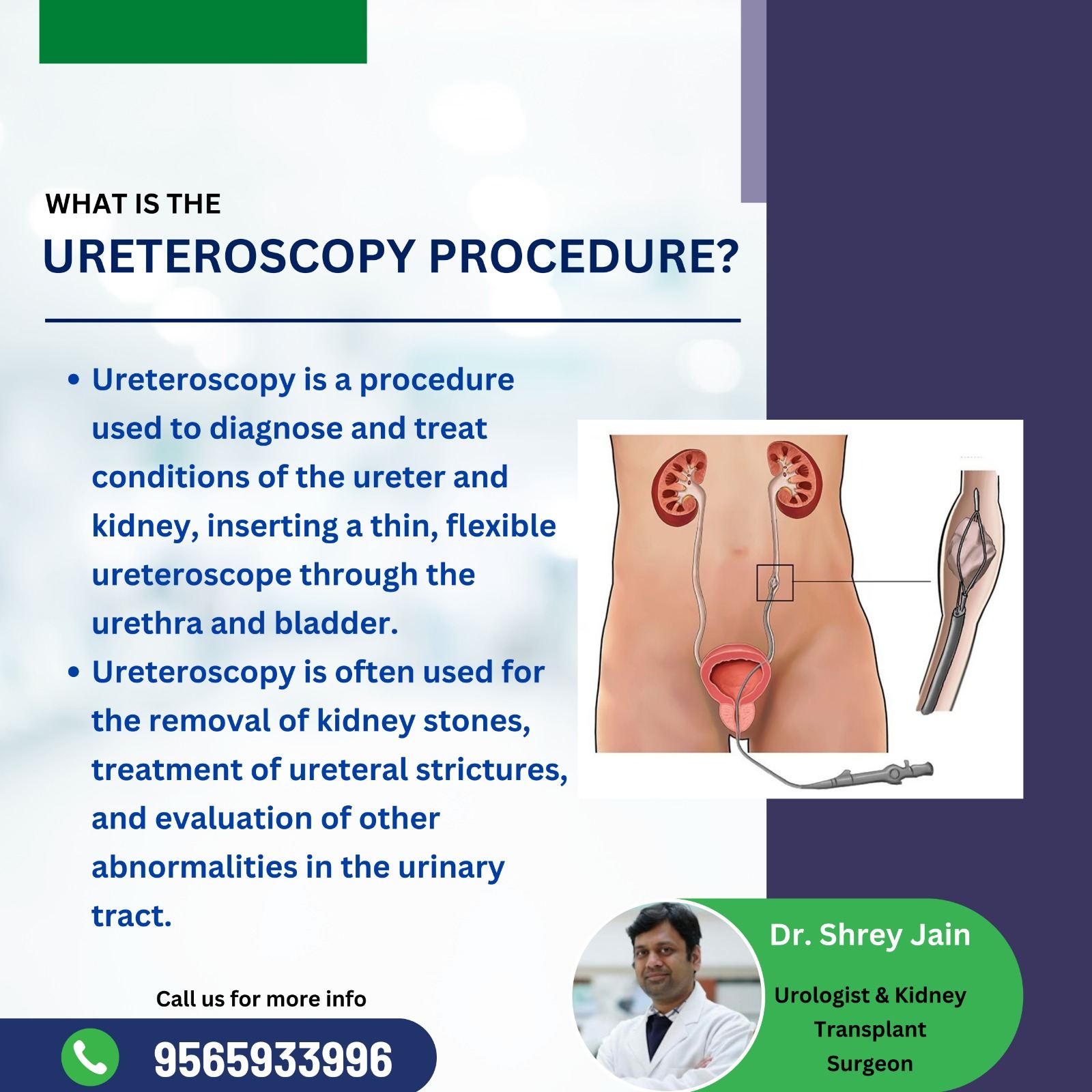 Dr. Shrey Jain on Twitter: "What is the Ureteroscopy Procedure? For more info Visit the Website ...