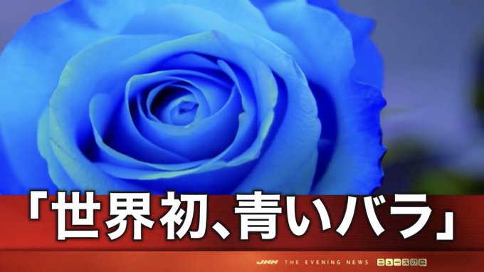 まさかる(@MSKR_DTV) - Twilog