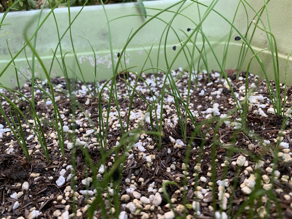 baja(@hola_baja) - Twilog