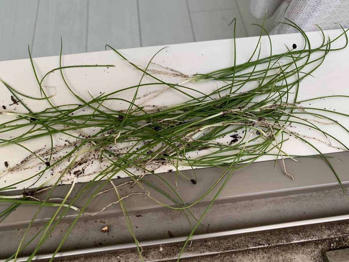 baja(@hola_baja) - Twilog