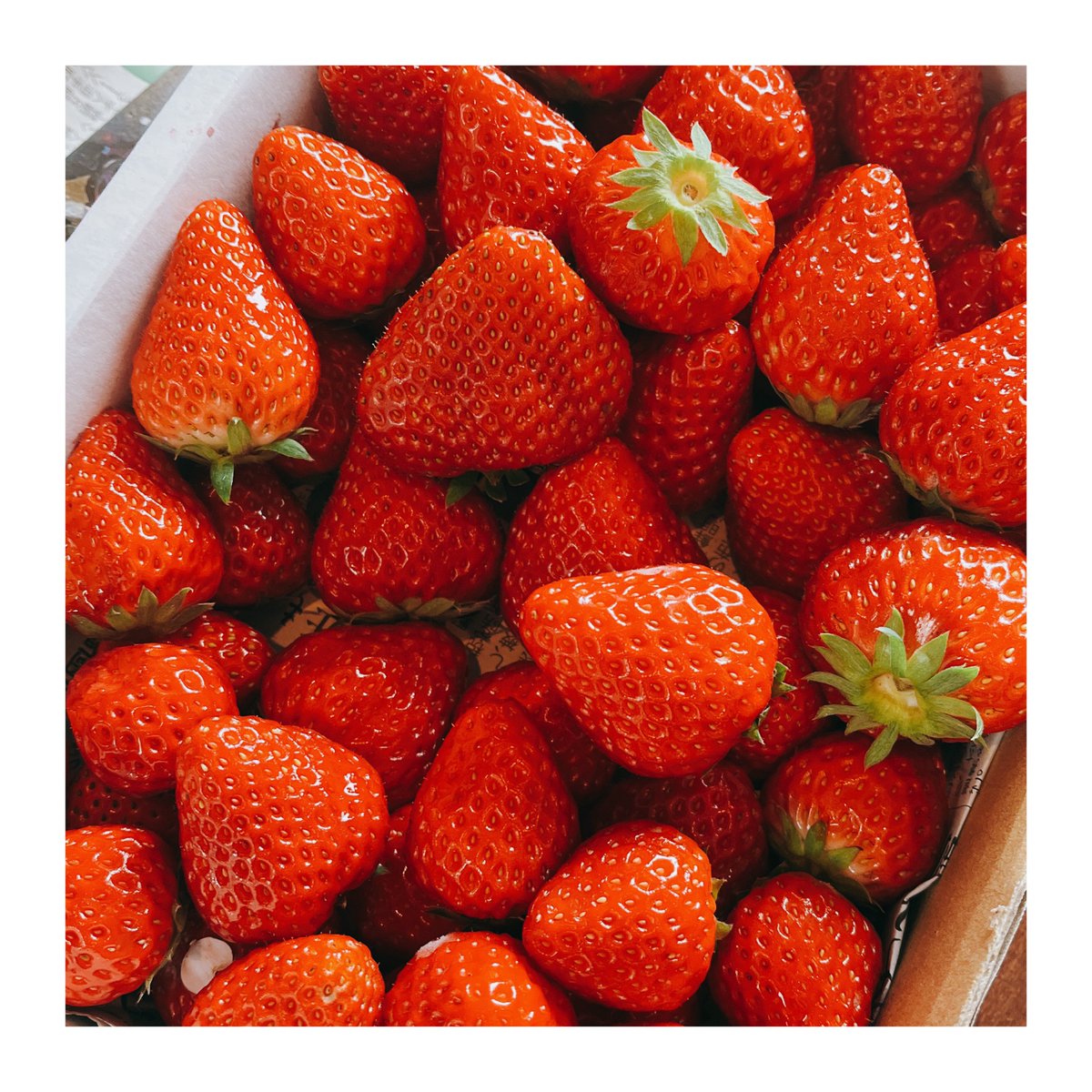 さく On Twitter もう苗を扱がなきゃいけない完熟のいちご大量に貰ったのでジャムにします🍓