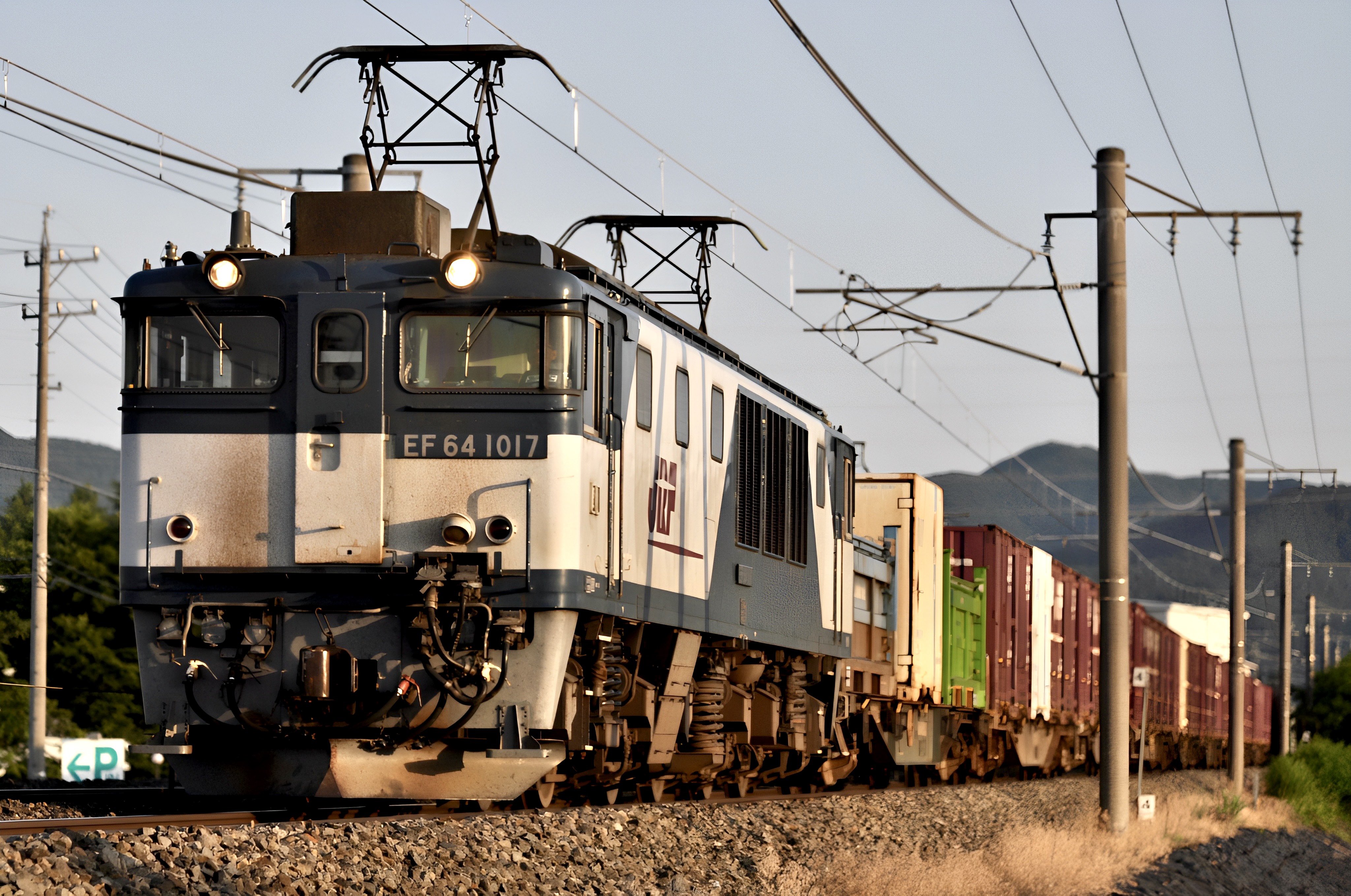 Comet on Twitter: "8084レ EF64 1044+1033 ・洗馬〜日出塩 梅雨合間の晴れの本山を駆けていく 原色重連、エゾハルゼミが大合唱をして いました。 https ...