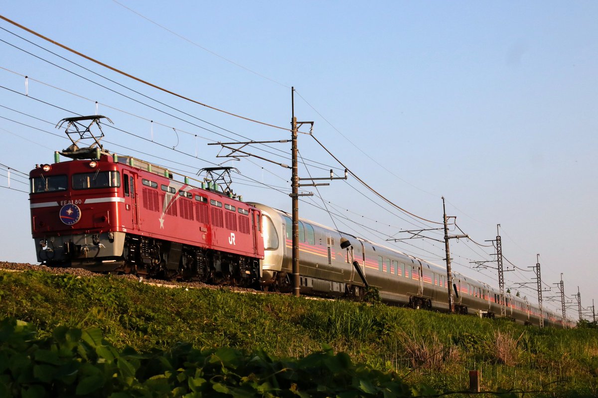 とあ on Twitter: "2023,6/17 9011レ カシオペア紀行 盛岡行き EF81 80+E26系客車12B まぁ手前の草は妥協と言うことで…"