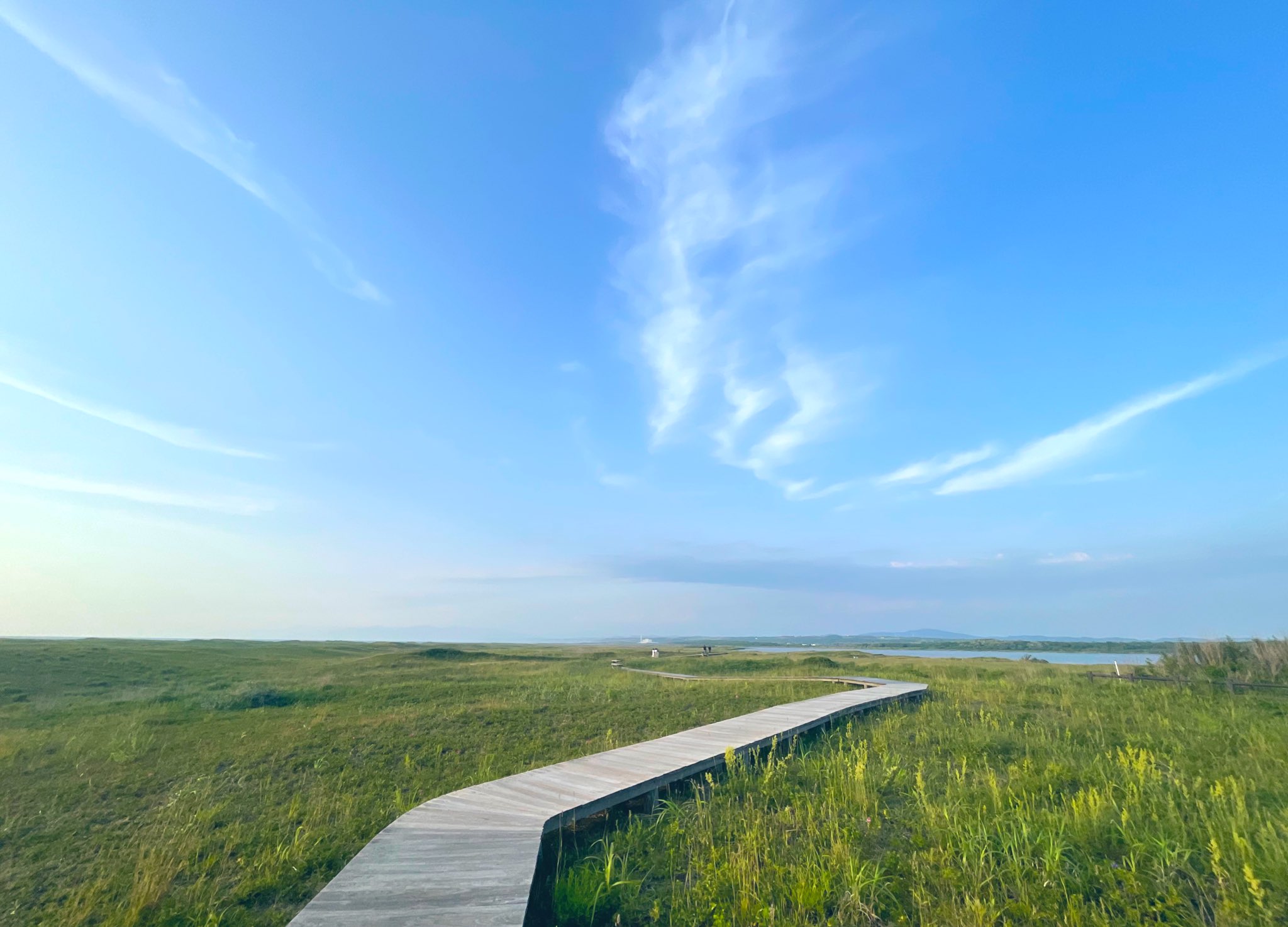 yuka/sora on Twitter: "#はまなすの丘 https://t.co/N8s4WScZp8" / Twitter