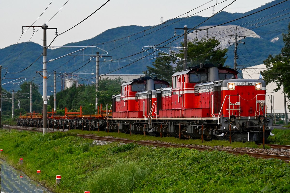 やまと on Twitter: "2023/06/17 工9786～工9785～工9871 ざっくり米子工臨 DD51 1179①+DD51 1186①+チキ8B 念願の後藤凸撮れました 後藤 ...
