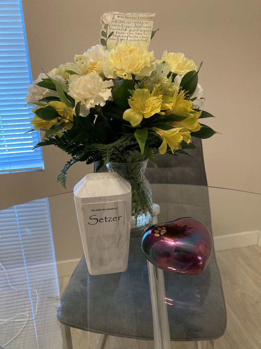 Jewelry by Seraphim on Twitter: "Pls help so Setzer isn’t forgotten. 1 yr anniversary of her ...