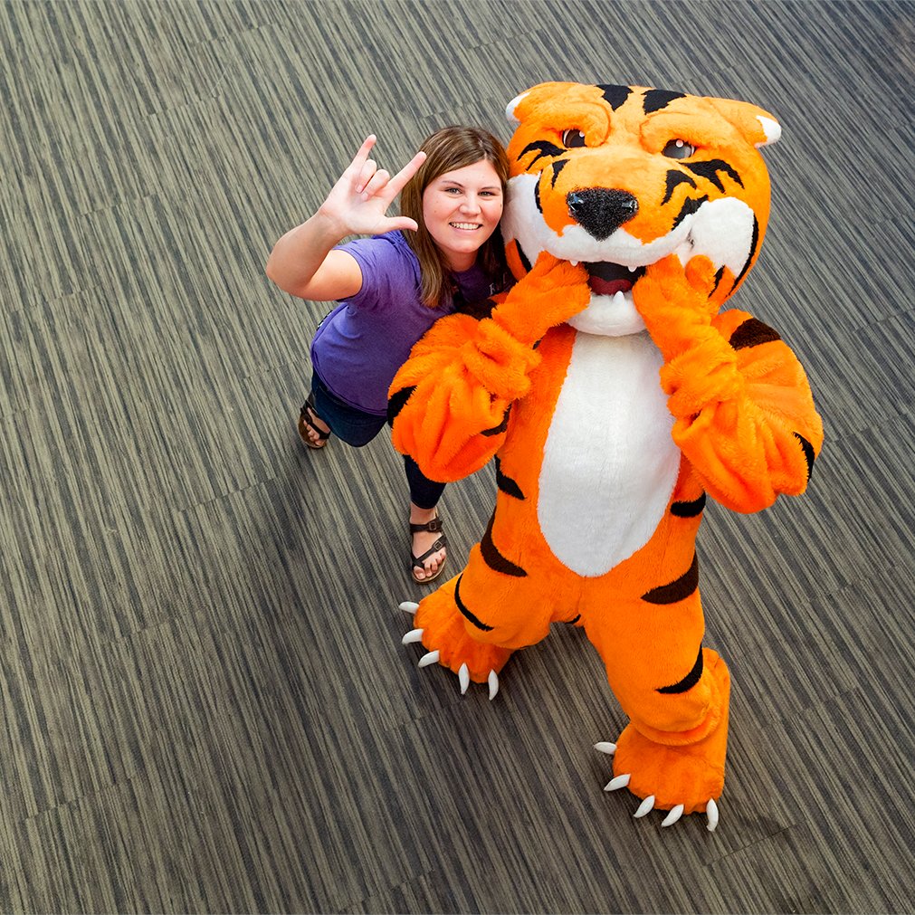 Friendly Tiger Mascot Costume