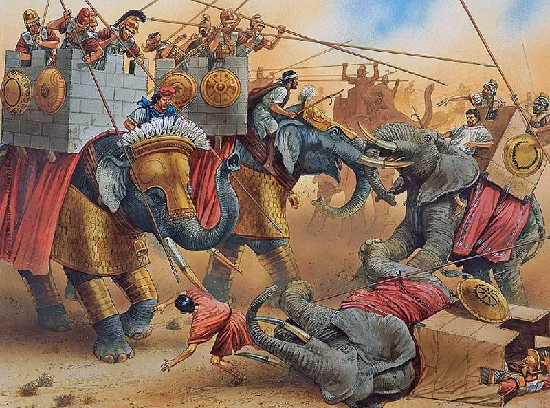 THE ELEPHANT TRADE The Battle of Raphia, fought in 217 BC between the ...