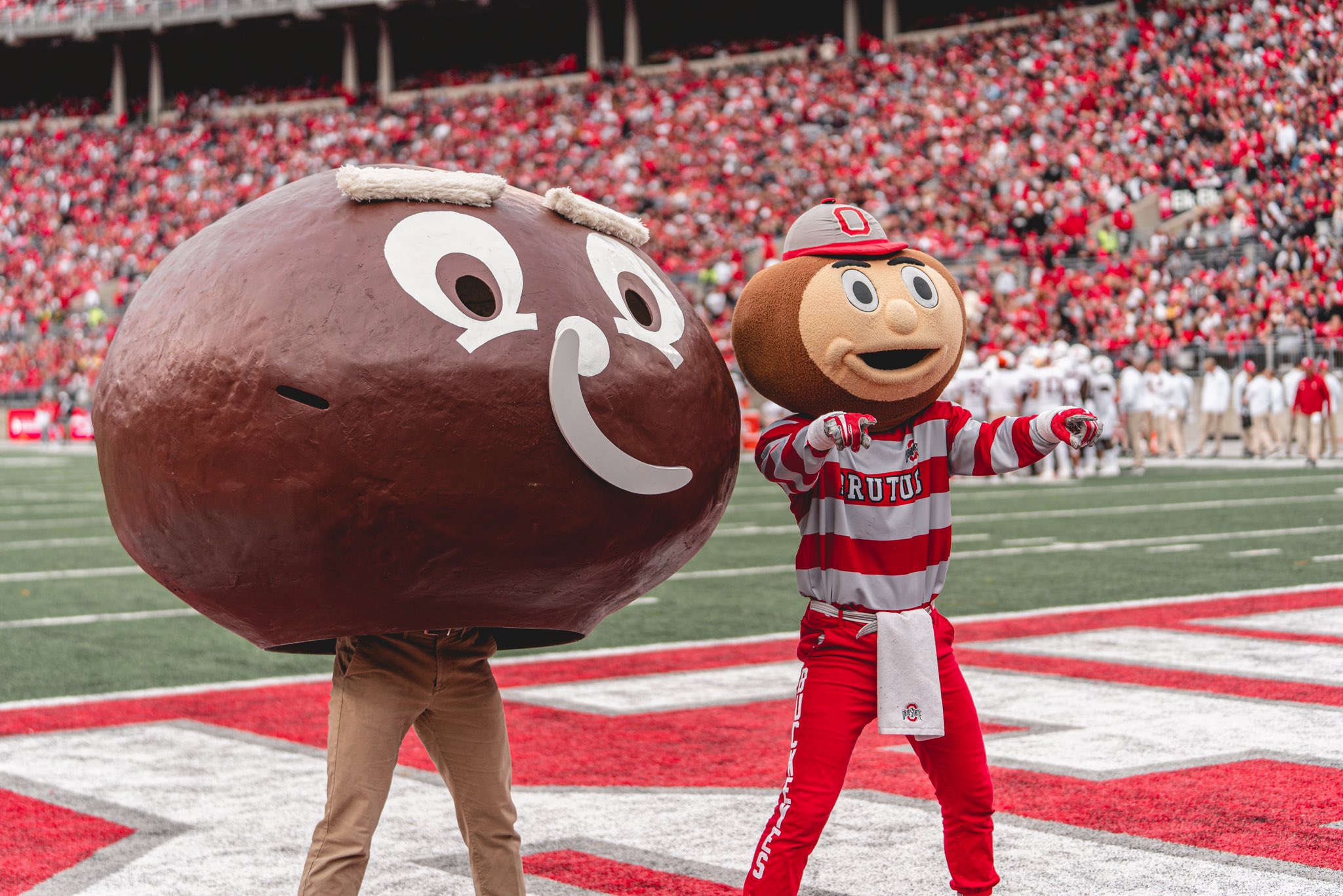 Brutus Buckeye Football