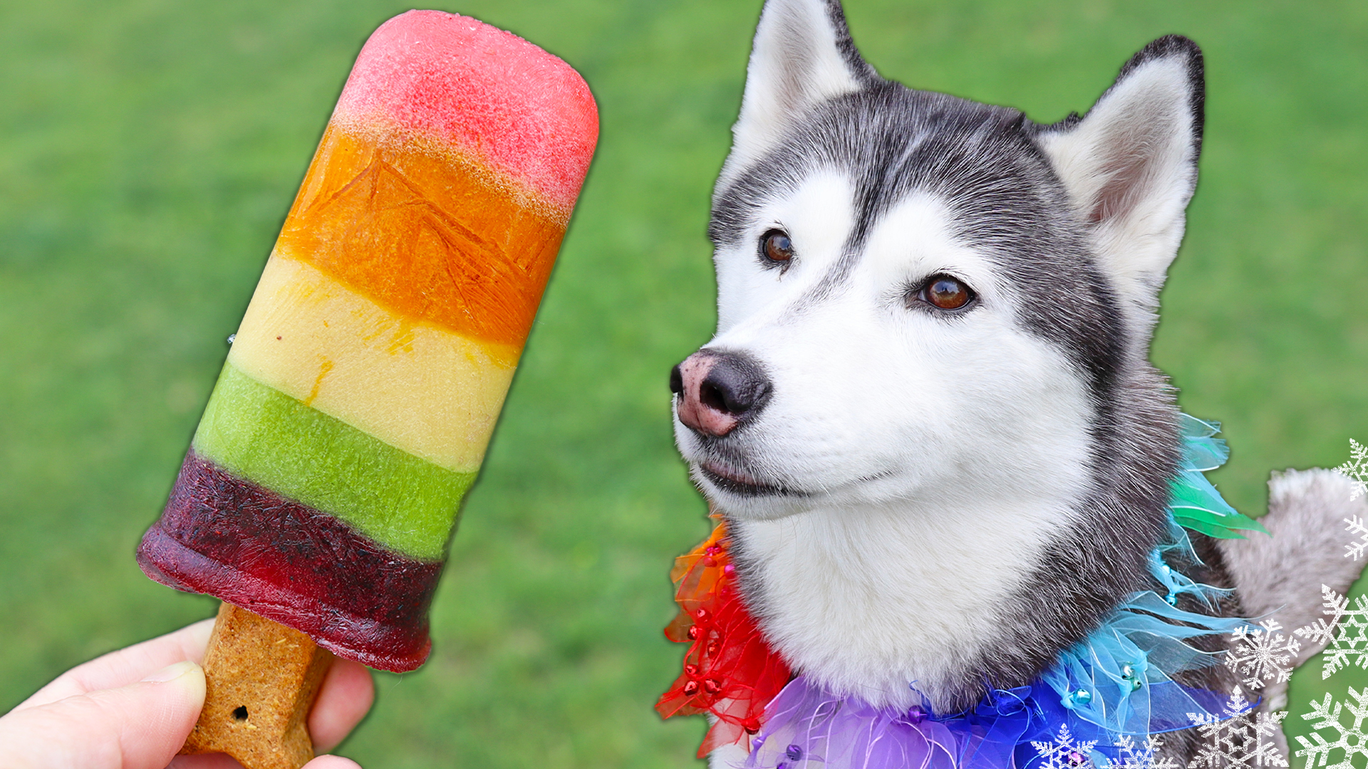 Can Dogs Eat Popsicles