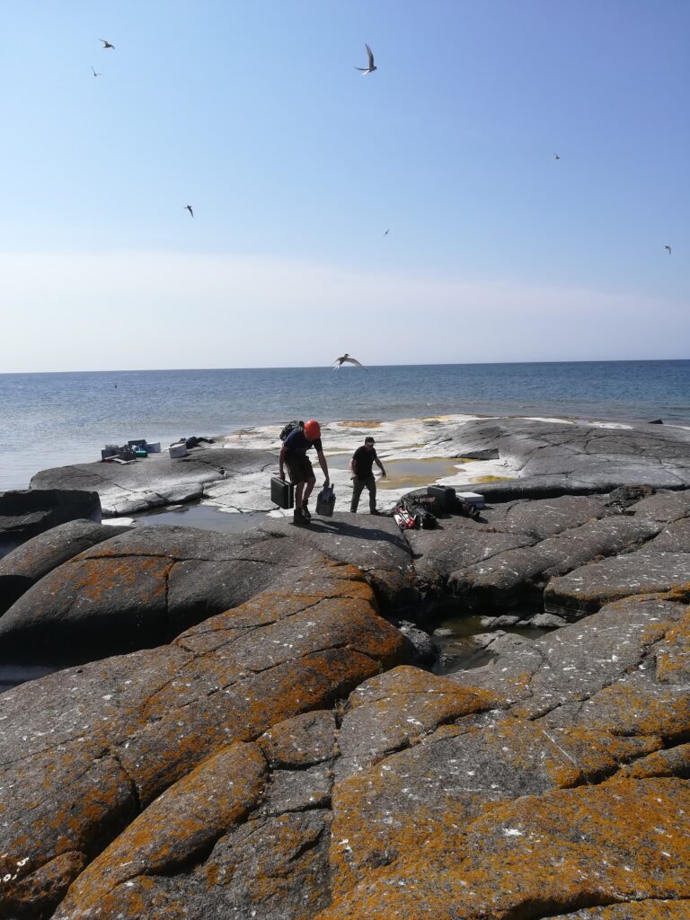 DX World.net on Twitter: "Team OJ0EME land on Market Reef earlier today. https://t.co/A6oXGqBVQT ...