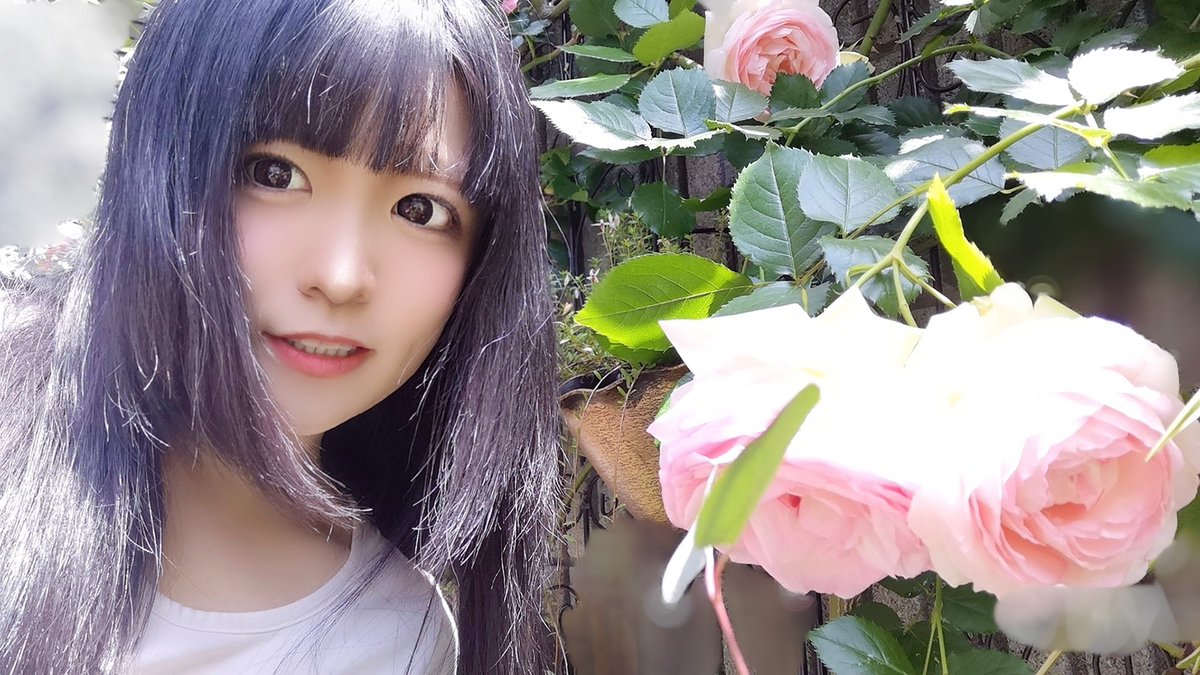 冬月みぃな On Twitter おはみぃなです。野菜とお魚食べて元気になってきました!大事な打ち合わせがあるので体力つけていきます!