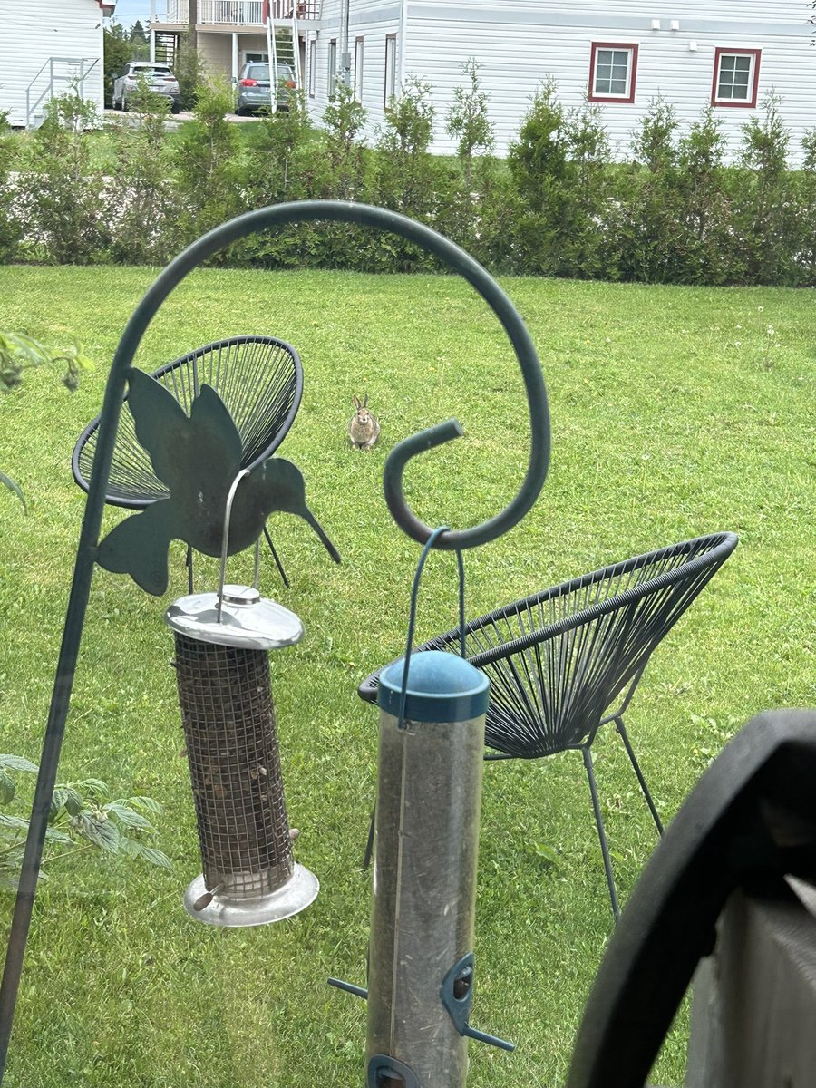 Locoman Lafleur ®️ on Twitter: "🥰"