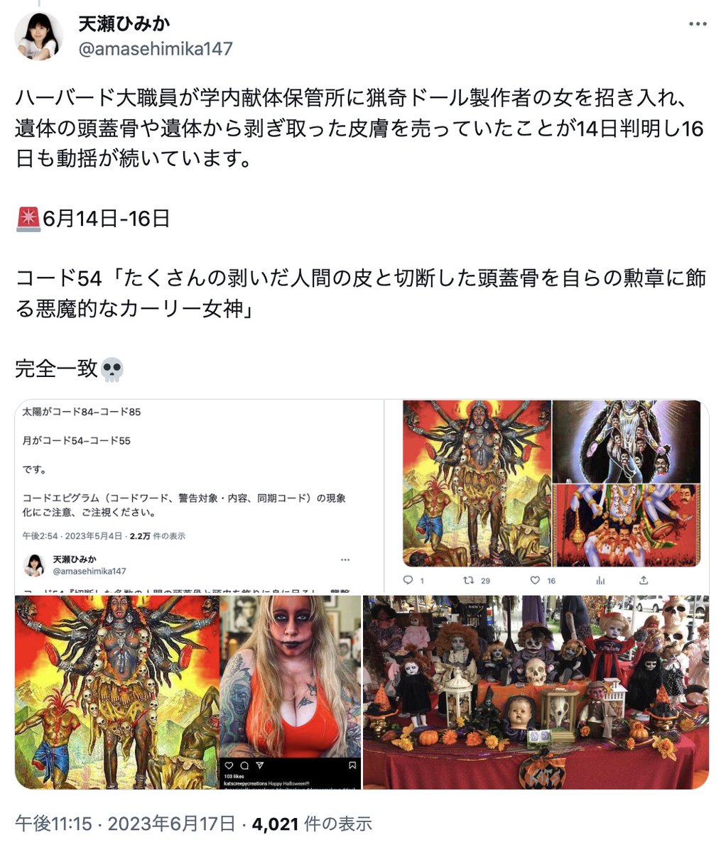 ちびジャスぷりん On Twitter Rt Shiratama Ji ハーバード大職員が、猟奇ドール製作者の女に遺体の頭蓋骨や