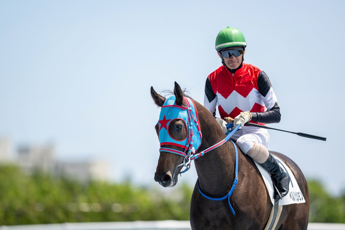 netkeiba on Twitter: "【函館5R 2歳新馬(芝1200)】 #ベルパッション ダノンレジェンド産駒は2021年11月13日福島3R(バーニングアイズ)以来のJRA芝6勝目 ...