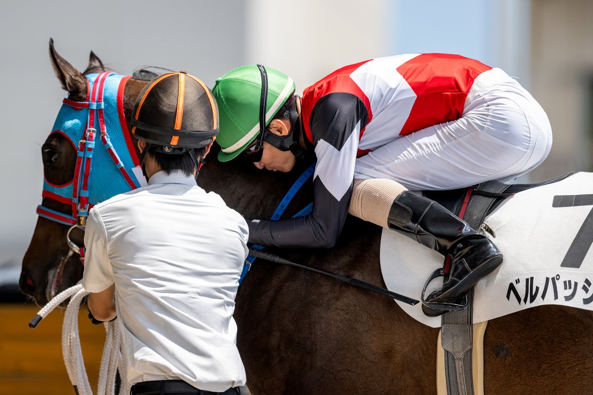 netkeiba on Twitter: "【函館5R 2歳新馬(芝1200)】 #ベルパッション ダノンレジェンド産駒は2021年11月13日福島3R(バーニングアイズ)以来のJRA芝6勝目 ...