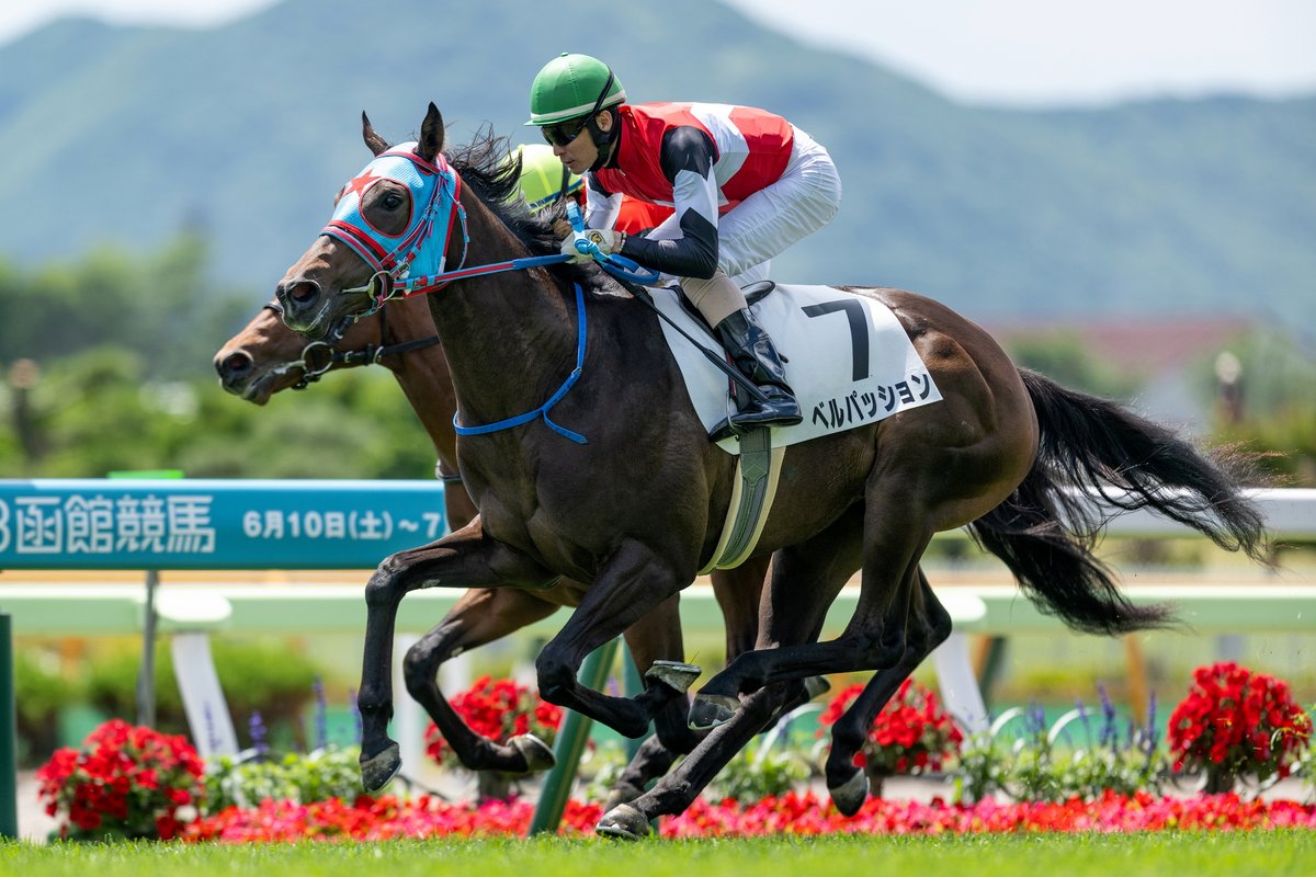 netkeiba on Twitter: "【函館5R 2歳新馬(芝1200)】 #ベルパッション ダノンレジェンド産駒は2021年11月13日福島3R(バーニングアイズ)以来のJRA芝6勝目 ...