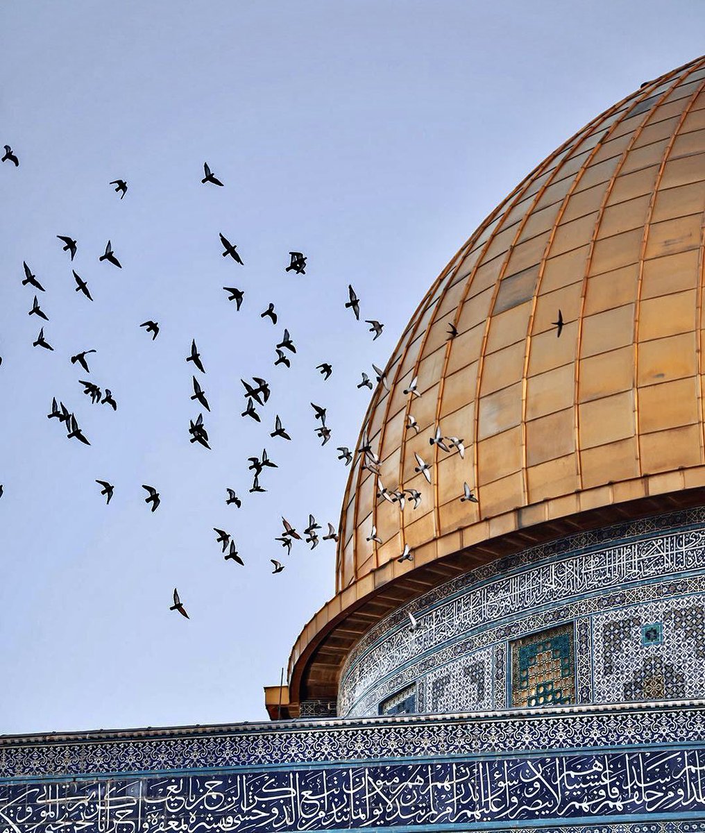 ‘Do they not see the birds suspended in mid-air up in the sky? Nothing ...