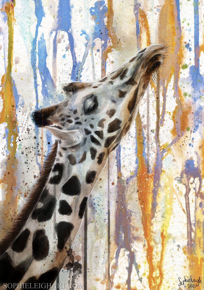 Moti Black (She/her) 🏳️‍🌈🏴󠁧󠁢󠁳󠁣󠁴󠁿 on Twitter: "RT @SophieLeighArt: Happy ...