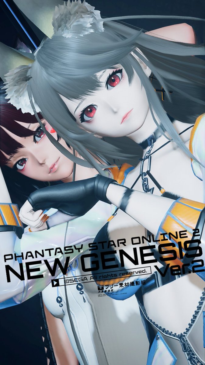 RECO on Twitter: "RT @2913kag_ngs: 8鯖にてカレン様(@karenPSO2NGS) 回収させていただきました📸 #フリー素材撮影班 #とりにきた #ma7ロゴ ...