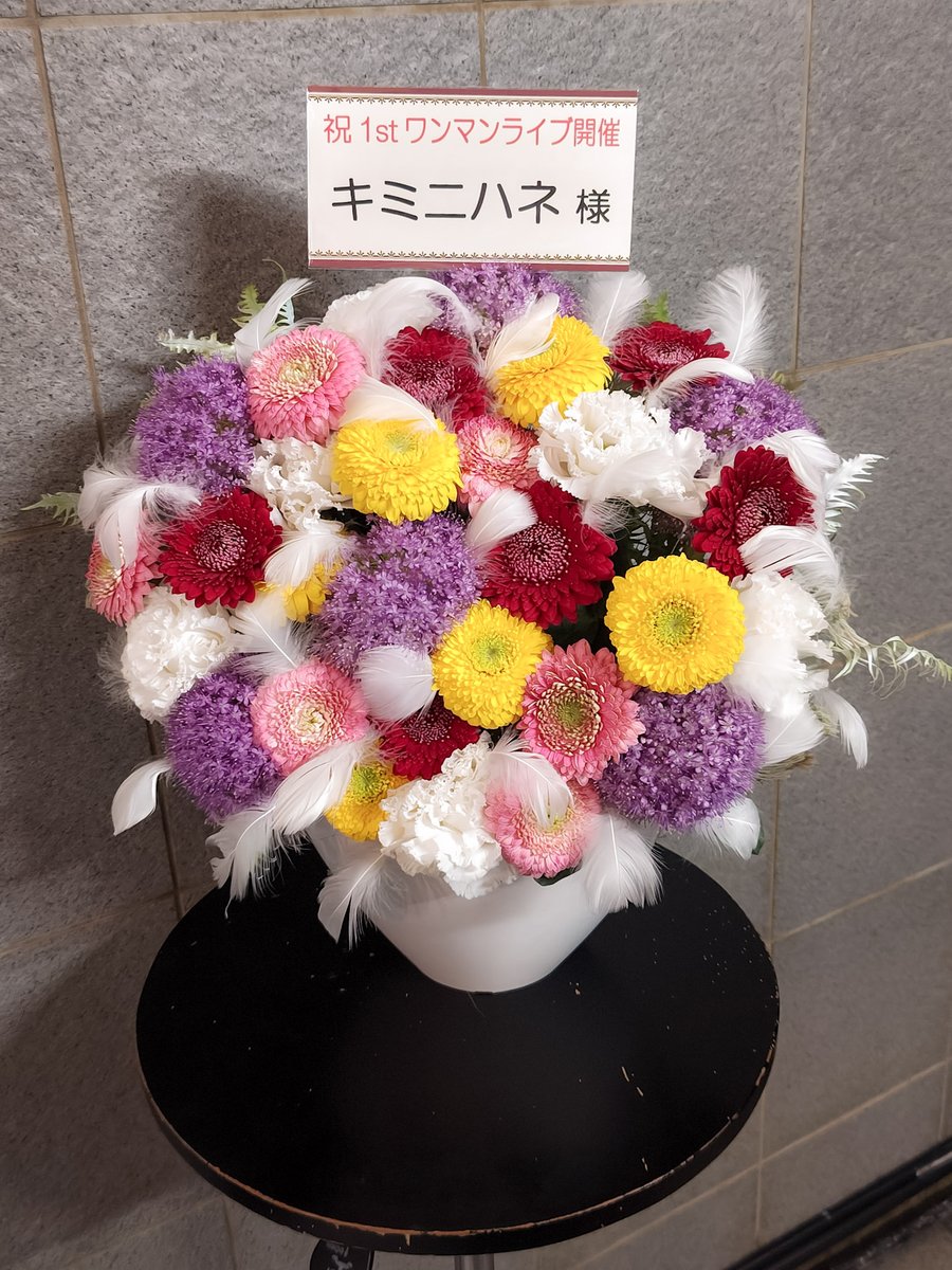 Hph えいちぴーえいち On Twitter 今日は、キミニハネの1stワンマンライブへ。 堂々としたパフォーマンスで、最初から最後まで楽しめました。 曲が良いので、もっと広く知って