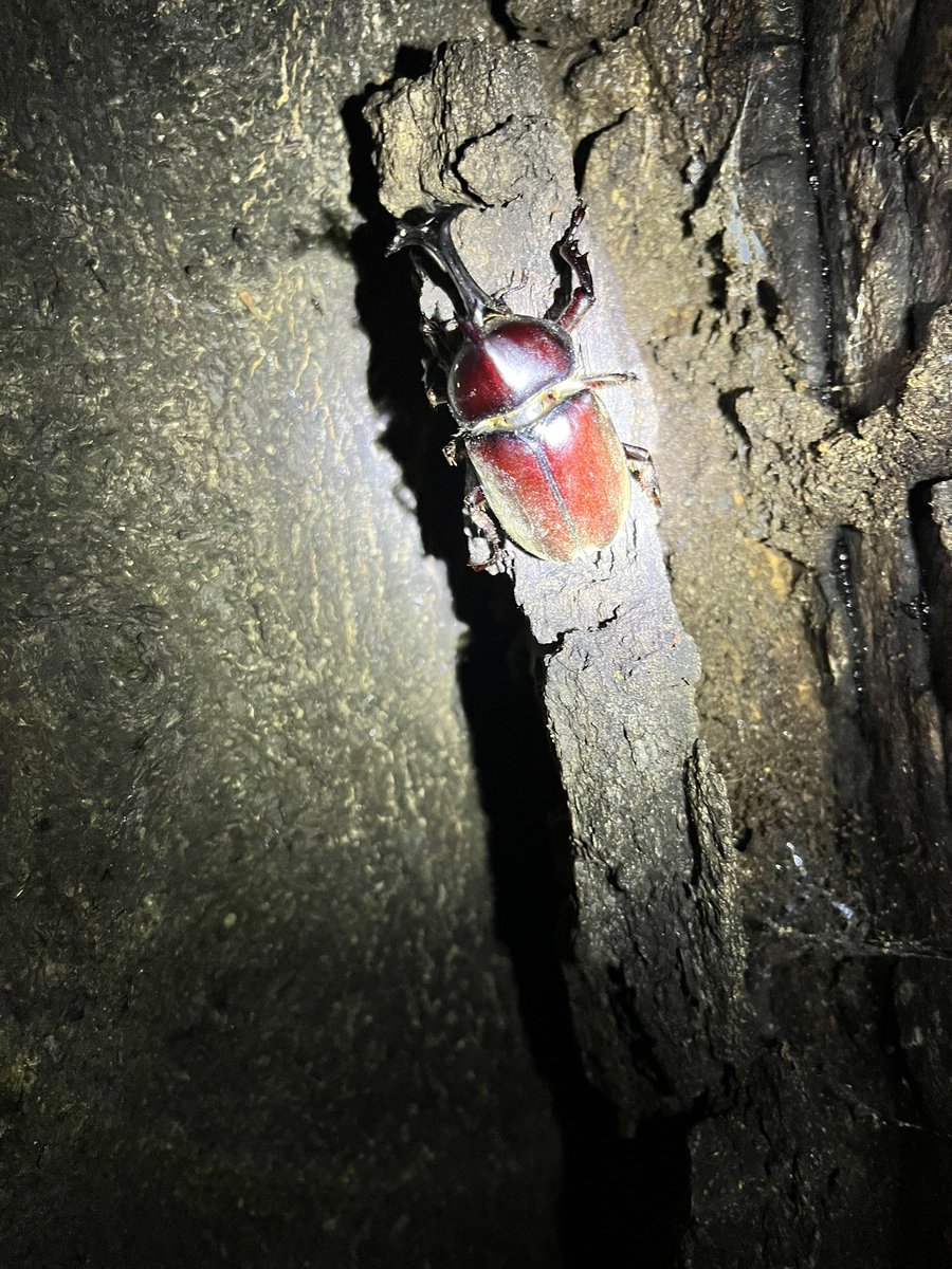 baja(@hola_baja) - Twilog