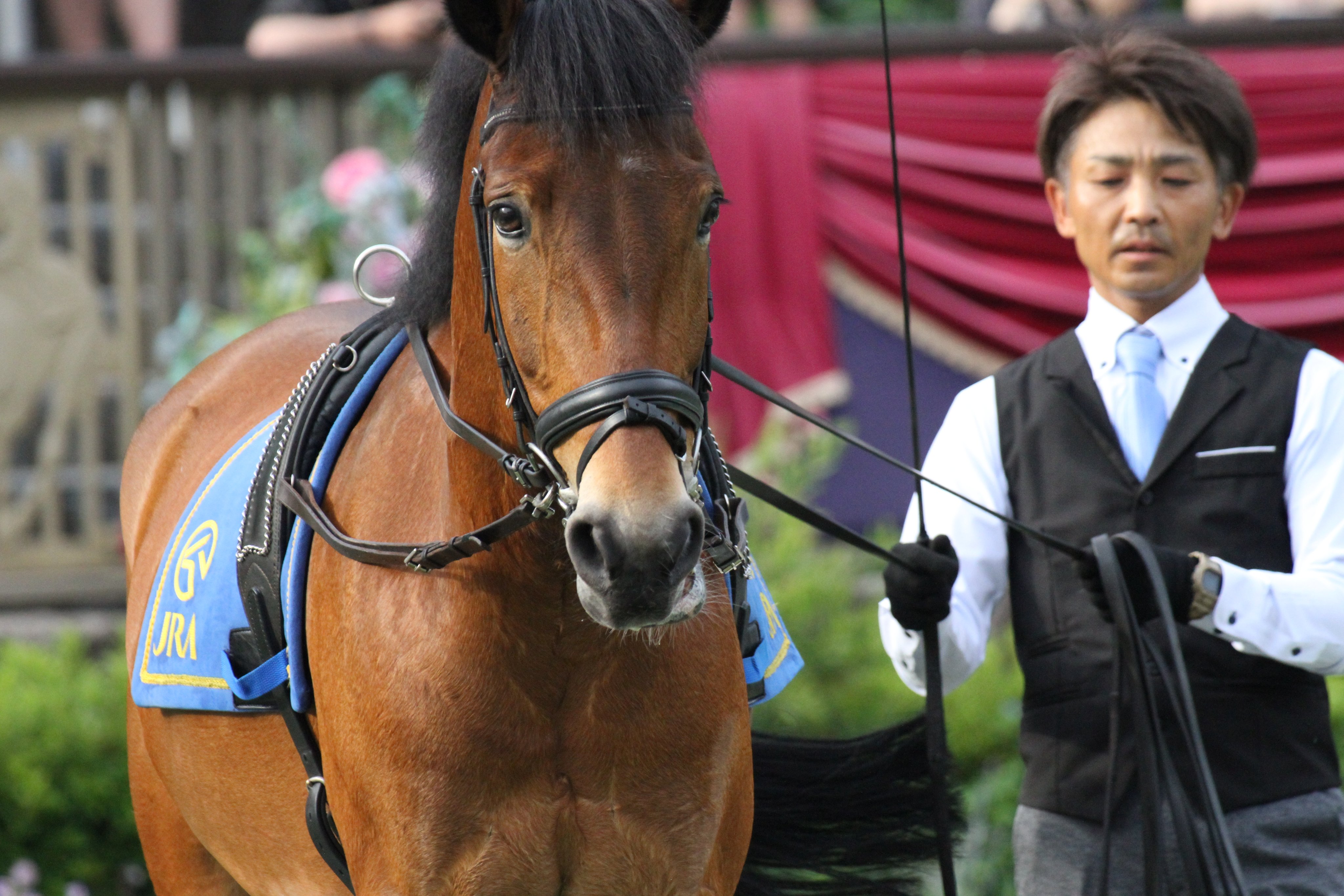 ひでっち on Twitter: "2023/06/18 ・12R後。ホースショー。ディオス君。 https://t.co/ZQ5VOuC92c 入場の際、自身で持ってきたyogiboで寝んね ...